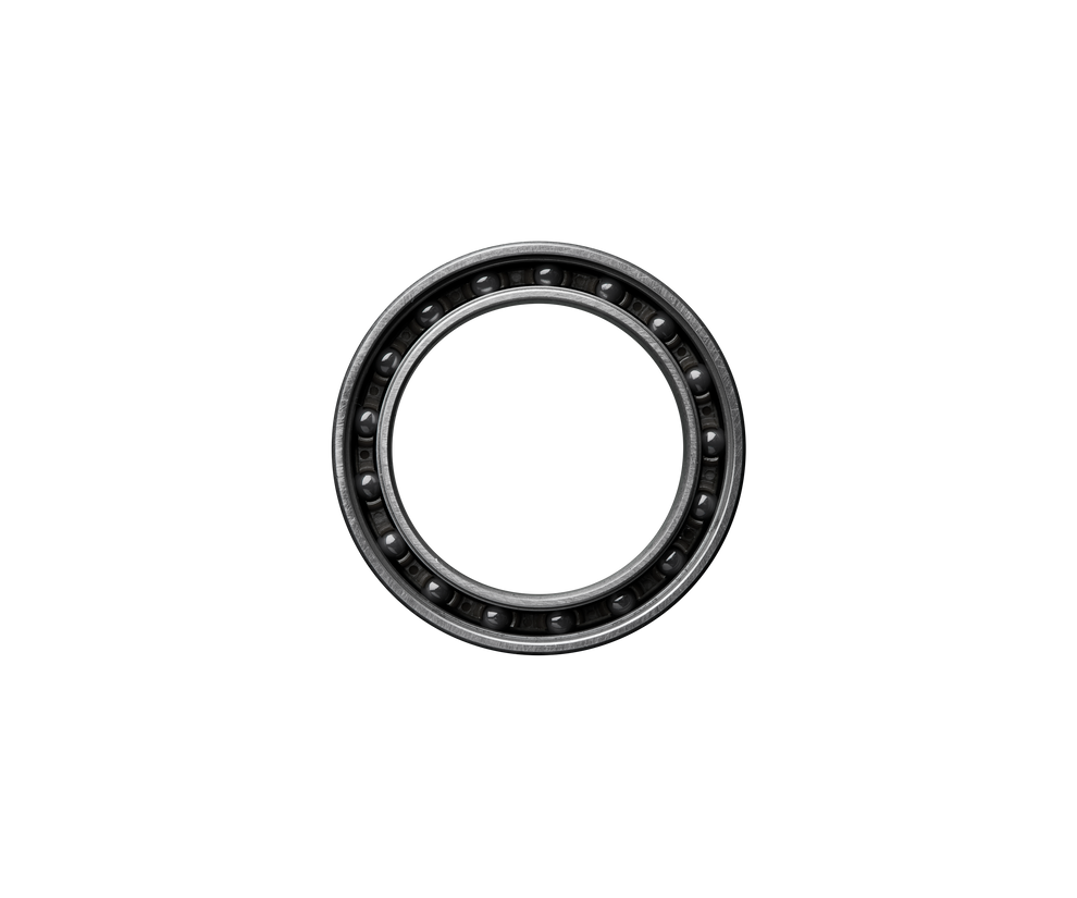 Standard Ceramic Single Bearings – FW Distribution